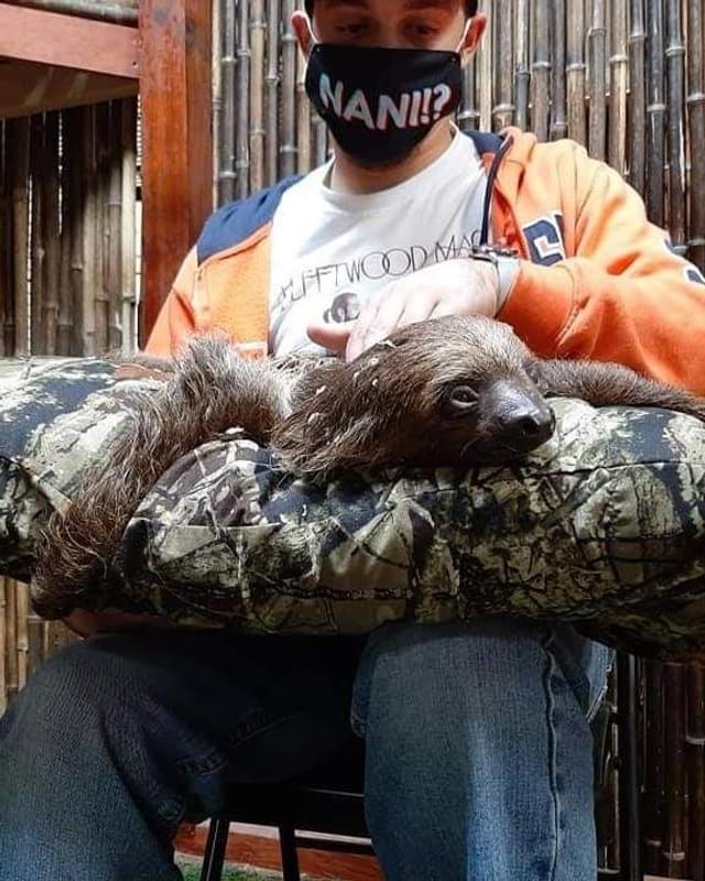 Dylan (@dilpicklerick) | Tinder